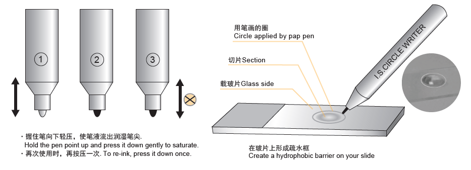免疫组化笔, Pap Pen PAP PEN-笔 DAKO PEN-笔 免疫组织化学PAP笔 超级免疫组化笔 PAP笔 Super Pap ...